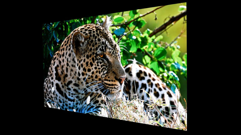 LG C3 4K OLED TV Review – Home Media Entertainment