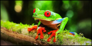 Samsung Q60C Review (2023 4K QLED TV) | HME